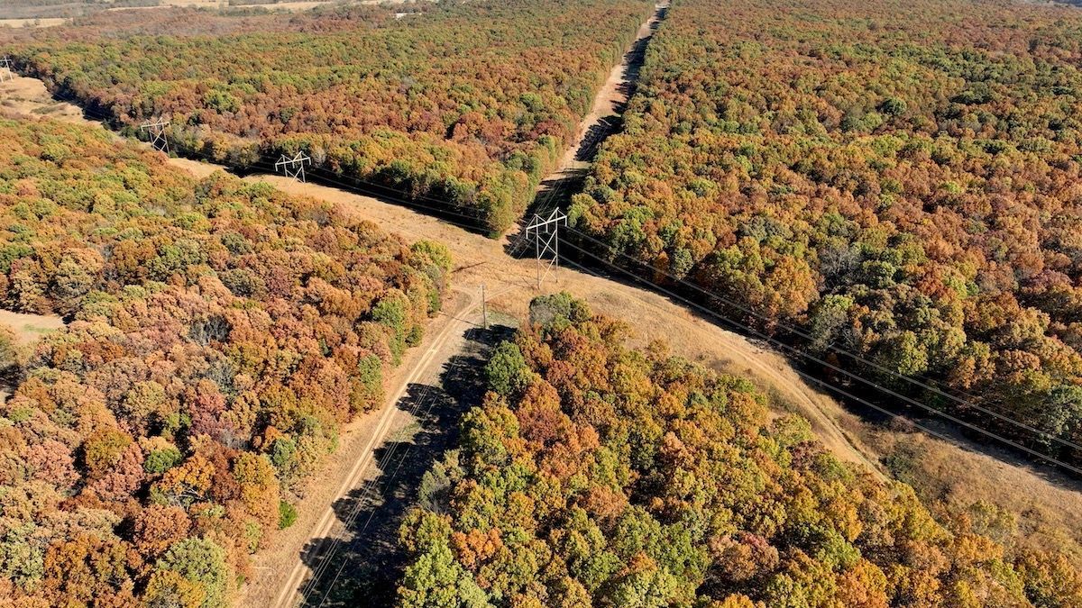 Large Timbered Hunting Building Tract With Live Spring And Pond Near ...