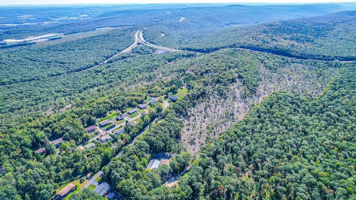 Secluded But Convenient Residential Development Parcel | Whitetail ...