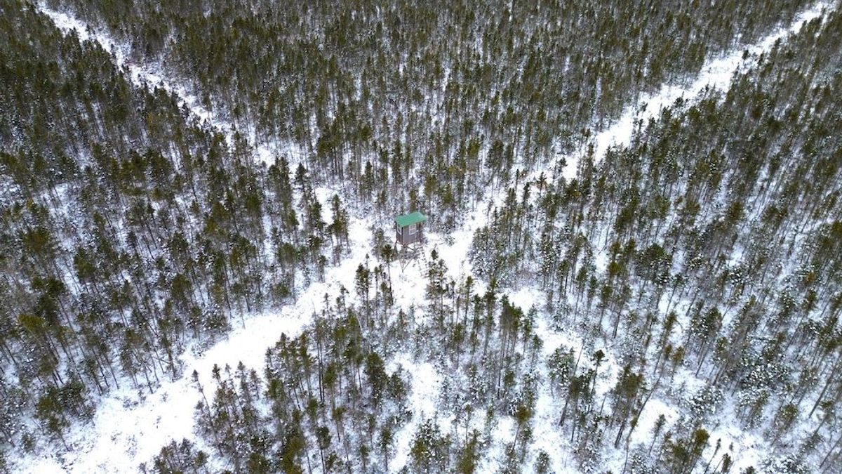 Hunting Tract With Box Blinds In Spruce Swamp With Upland Islands ...