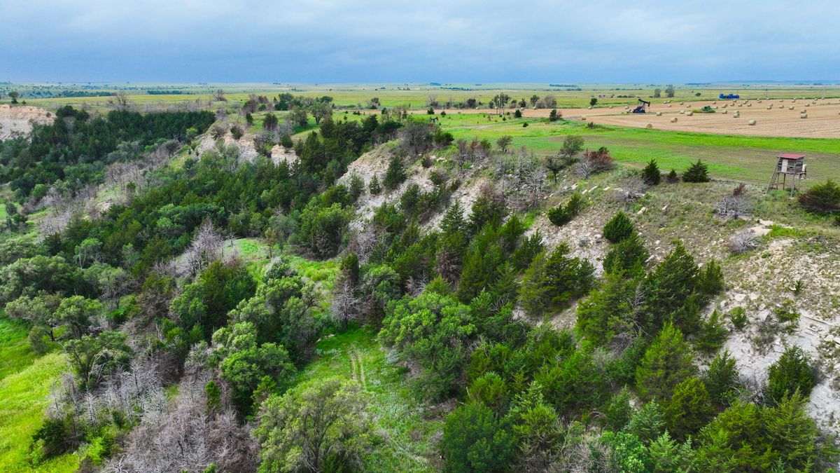 The Roost Of The Saline River Valley In North Central Kansas ...