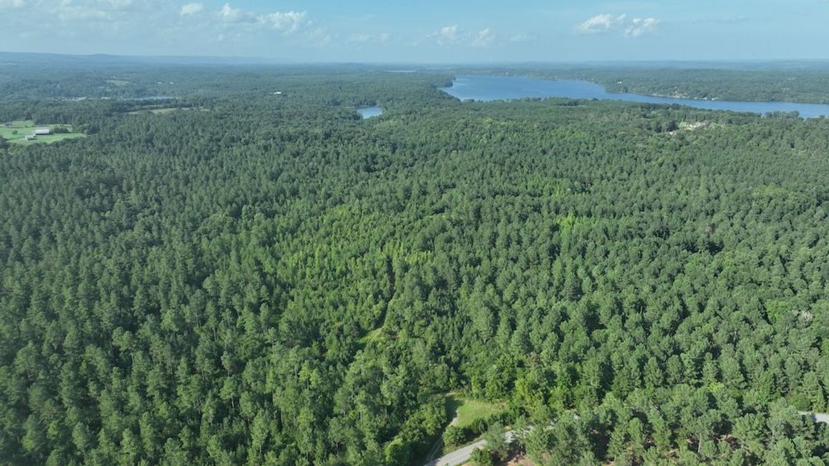 Beautiful Timber Tract With Great Hunting | Whitetail Properties