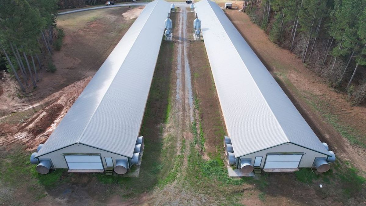 Income-Producing Poultry Farm/Layer Houses With Residence And Acreage ...