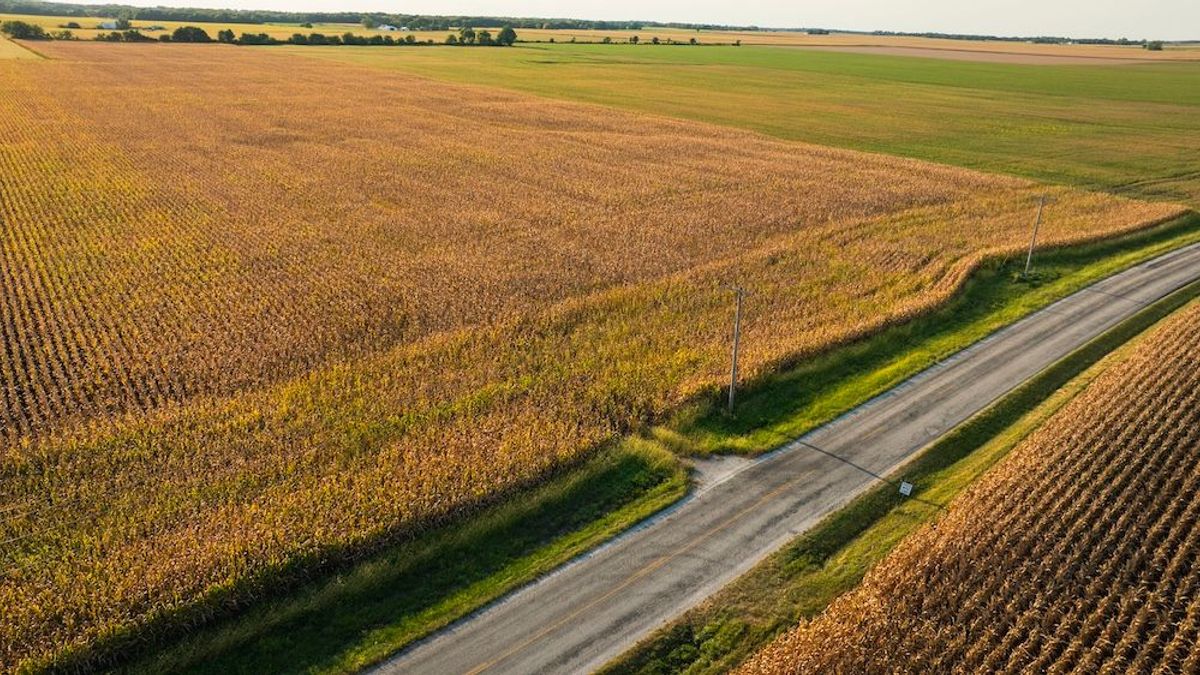 Class A Farmland With Road Frontage | Whitetail Properties