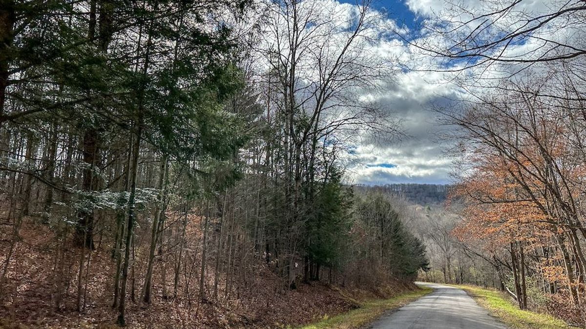 Hunting Land With Spring And Food Plot In Wellsville | Whitetail Properties