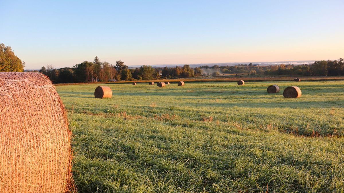 Farming Parcel With Stunning Views | Whitetail Properties