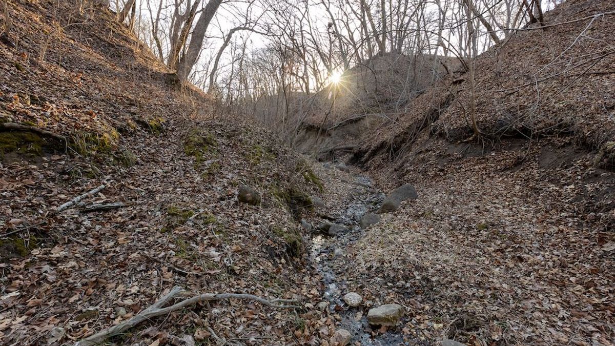 Incredible Timber Property In The Des Moines River Watershed Near Pilot ...