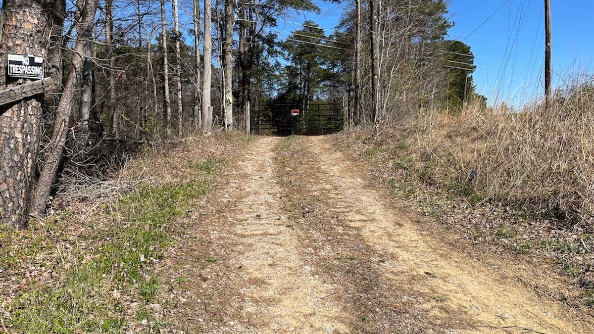 Great Hunting Property With Rolling Topography | Whitetail Properties