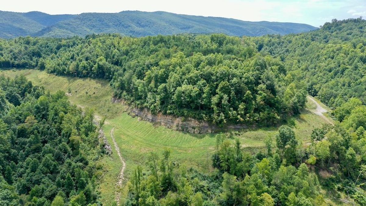 Expansive Property: Sub-Bituminous And Thermal Coal, Potential Oil/Gas ...