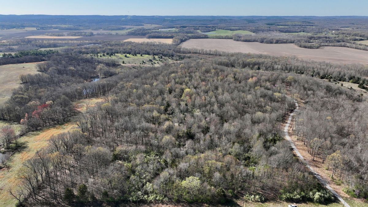 All-Timber Hunting Tract In Shawnee National Forest Area | Whitetail ...
