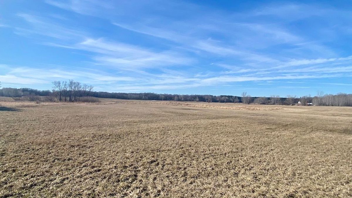 Buildable Land For Your Country Home | Whitetail Properties