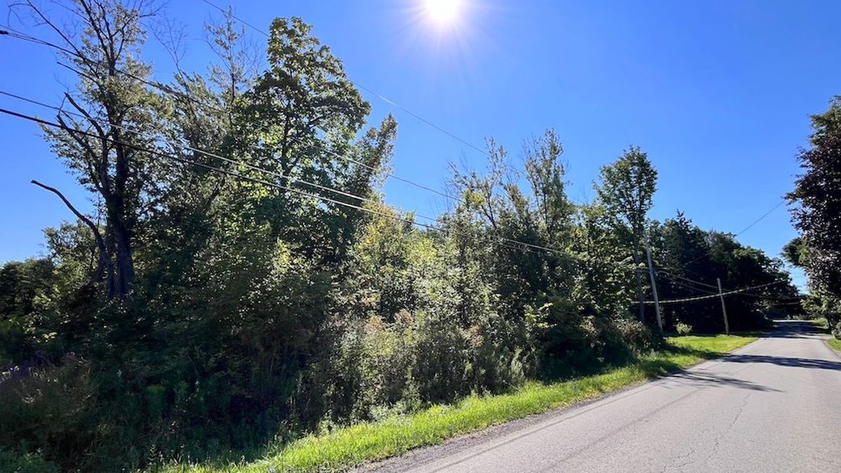 Brocton Lot With Creek, Trail Access And Build Potential | Whitetail ...