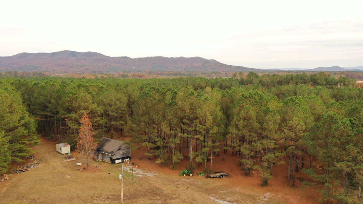 Open Land And Timberland With Unfinished Tiny Home In Rural Setting ...