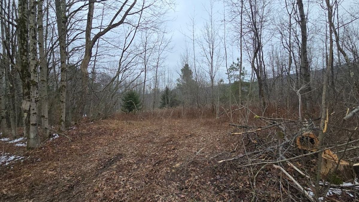 Private Off-Grid Parcel Perfect To Build Camp Or Set Up For RV ...