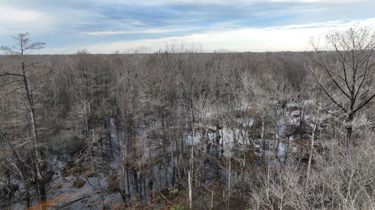 Small Recreational Tract With Year Around Enjoyment | Whitetail Properties