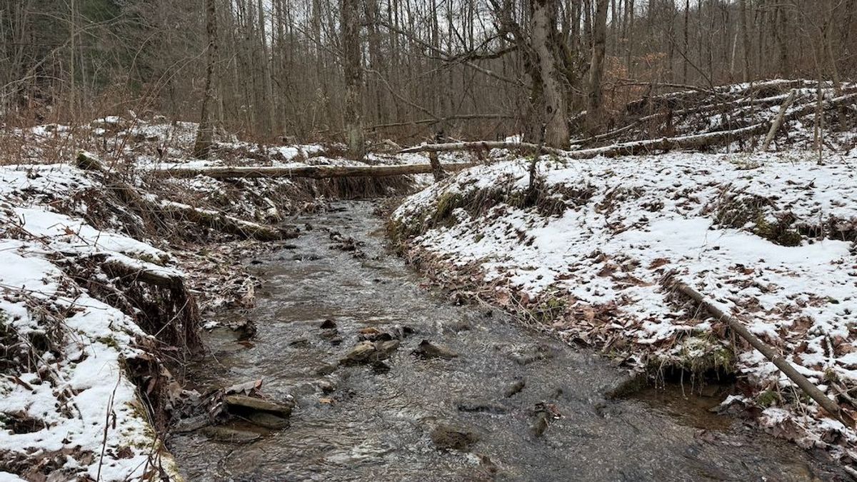Secluded Hunting Parcel With Trail System And Stream | Whitetail Properties