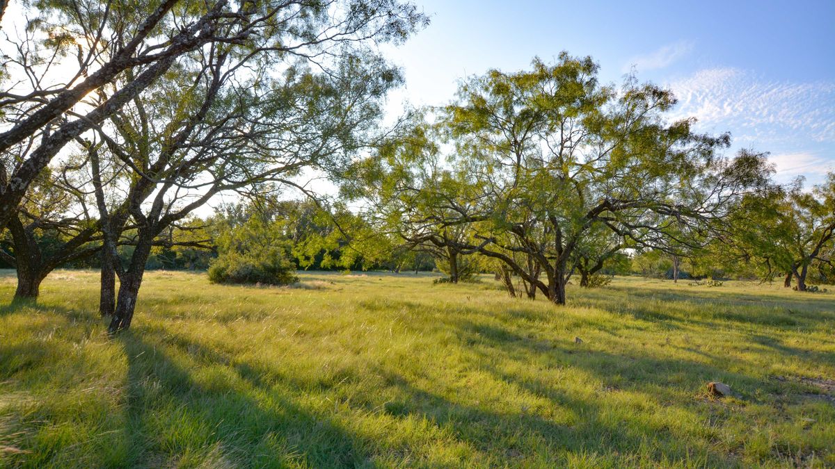 Menard County 71 Ranch | Whitetail Properties