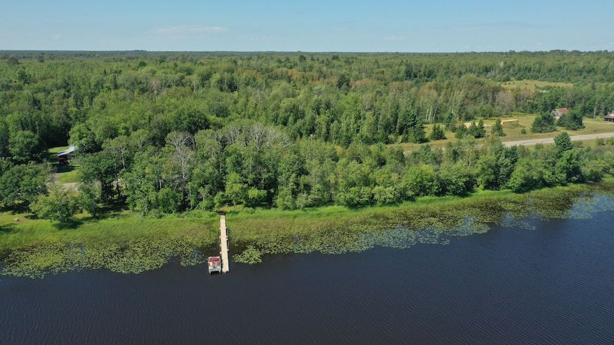 High Ground And Rolling Topography Property | Whitetail Properties