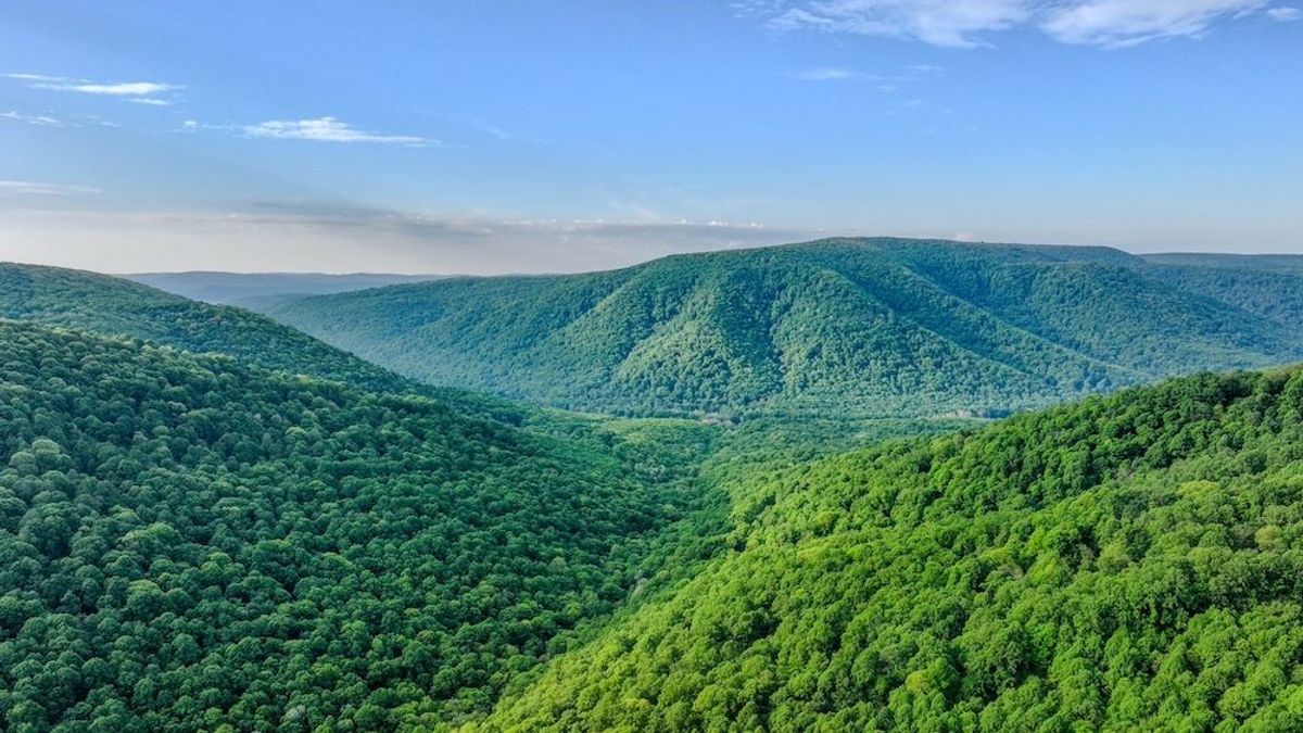 Off Grid Timberland Bordering Ohiopyle State Park | Whitetail Properties
