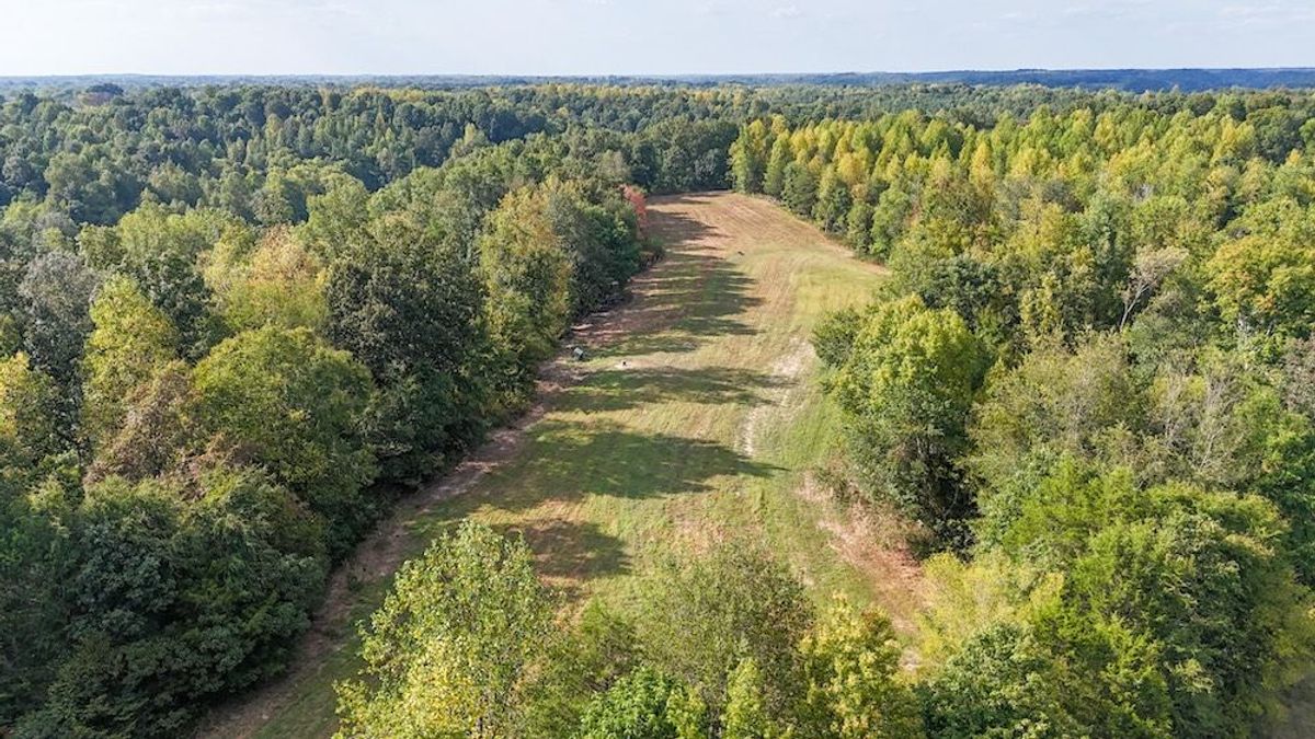 Buildable Hunting Farm With Large Food Plot And Road Frontage ...