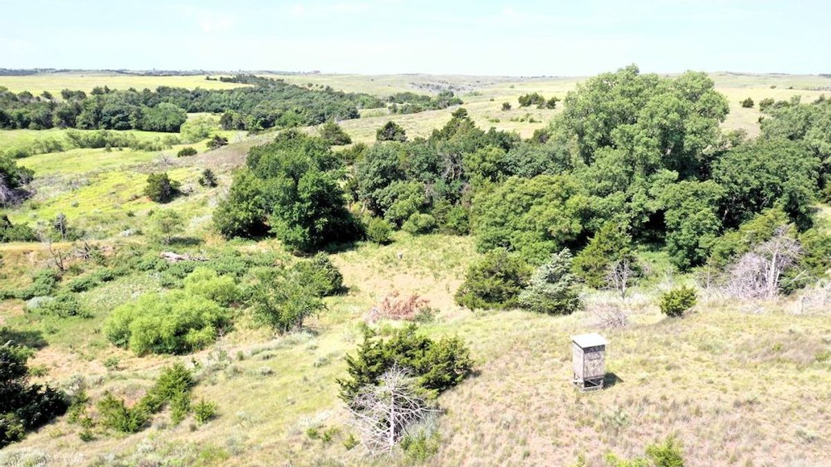 Scenic Ranch In Red-Canyon Country | Whitetail Properties