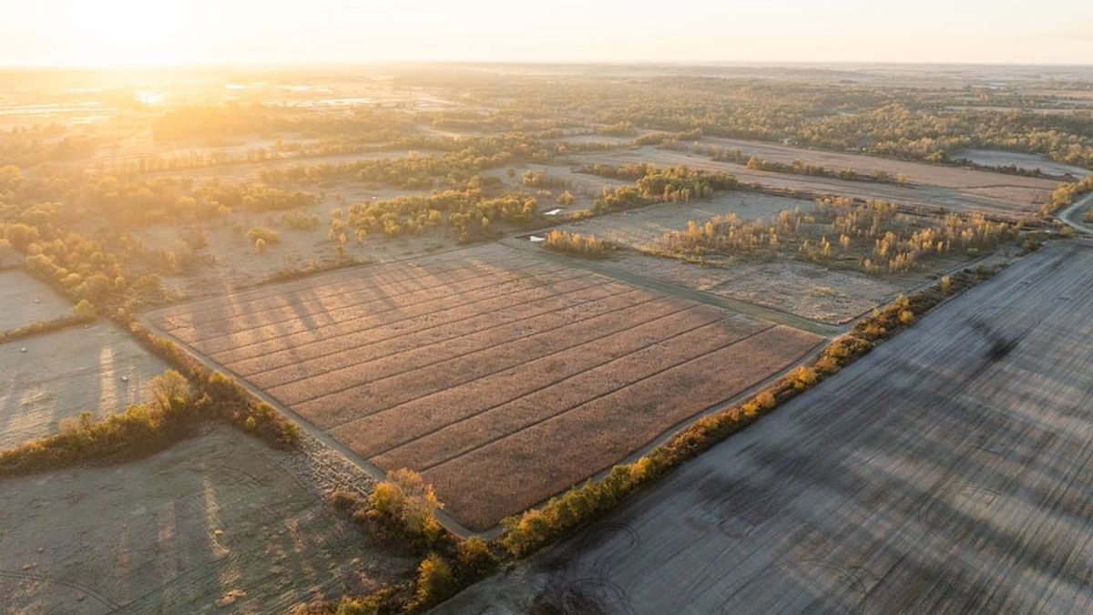 Central Iowa Pheasant And Deer Hunting Property Next To Otter Creek ...