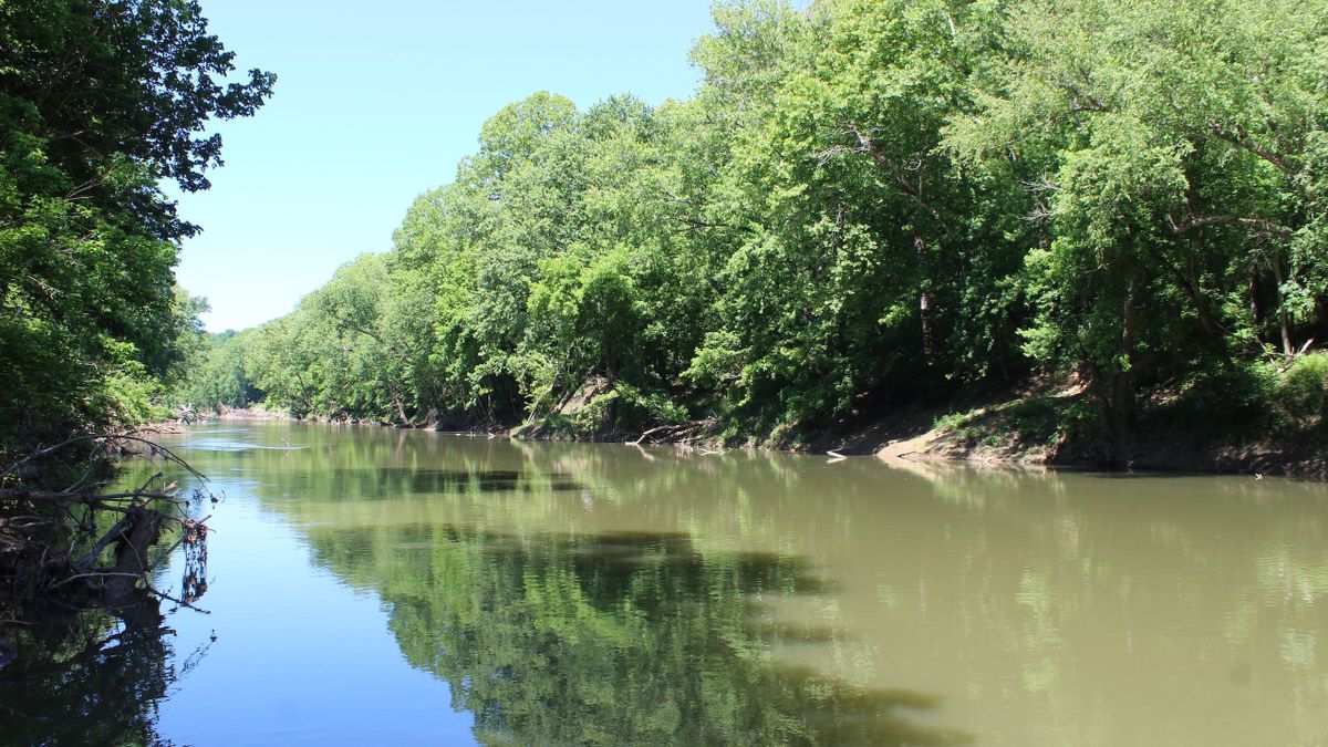 Beautiful KY River Property Near The Red River Gorge | Whitetail Properties