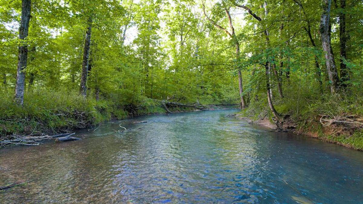 Amazing Property On East Armuchee Creek With A Homesite, Hunting, And ...