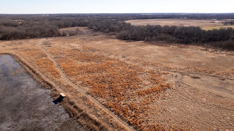 Duck Head Island | Whitetail Properties