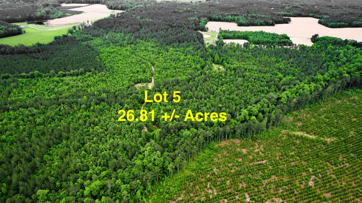 Secluded Rural Lot in a Great Location Near Dinwiddie | Whitetail ...
