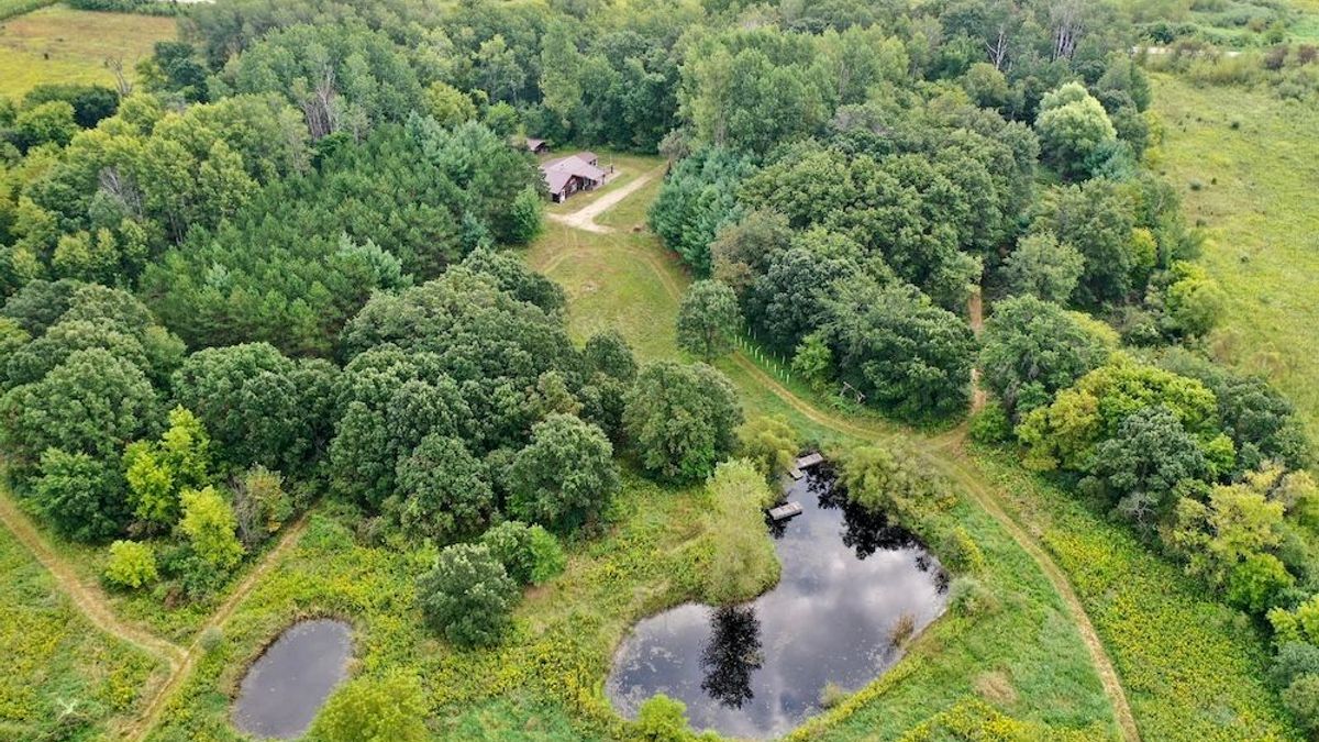 Trophy Hunting Deer Camp With Log Cabin | Whitetail Properties
