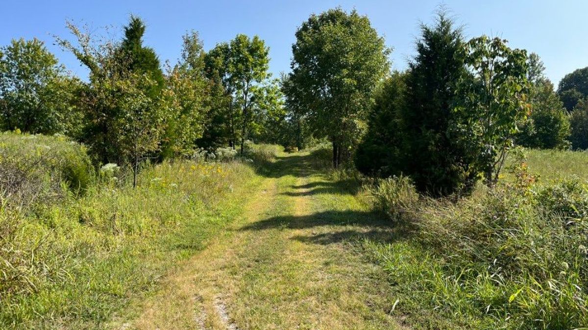 Small Acreage With Good Blend Of Open And Wooded Acreage Near Owensboro ...