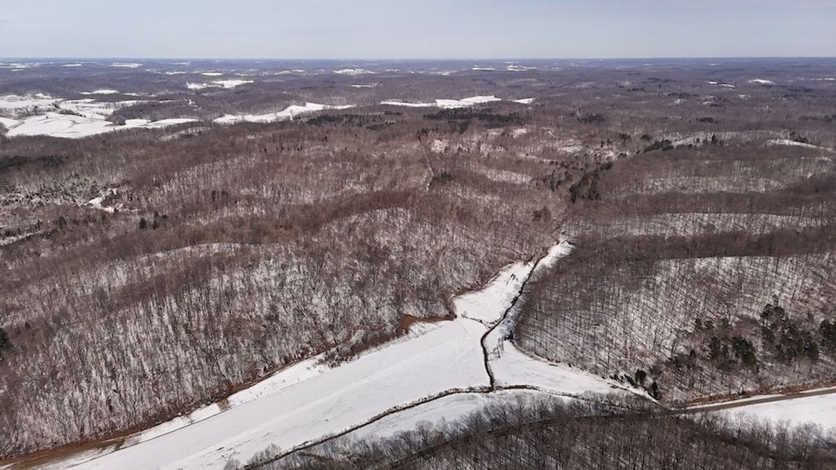 Expansive Managed Timberland Bordering Ferdinand State Forestry ...