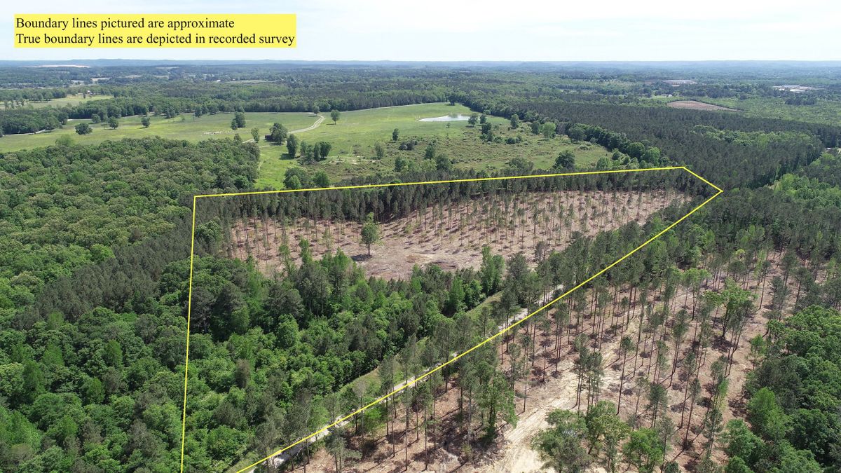 Smaller Select Cut Timber Tract | Whitetail Properties