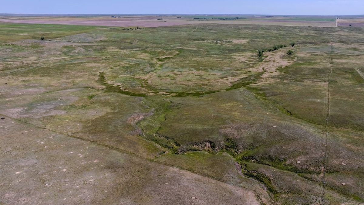 Pasture Ground - Western Nebraska View Of South Platte Valley Of ...