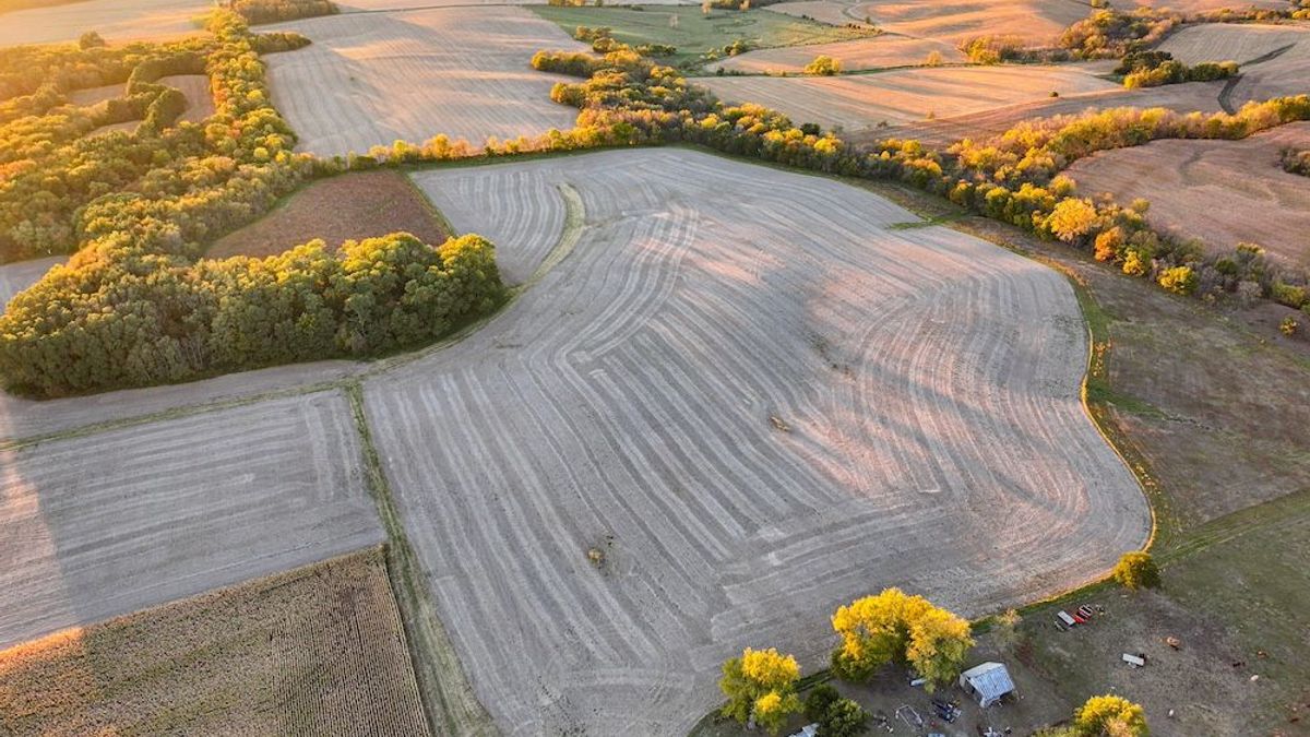 Tillable Farm With CRP Border | Whitetail Properties