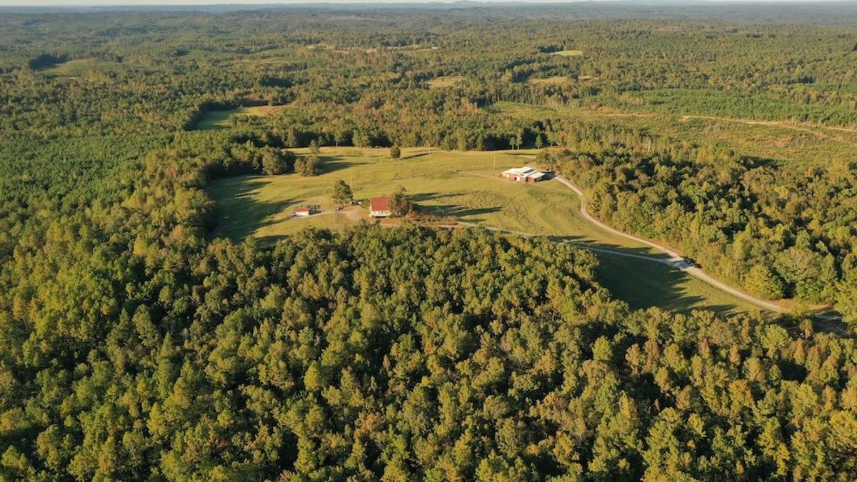 Two Story Farmhouse, Horse Barn, With Pasture, Beautiful Longleaf Pines ...