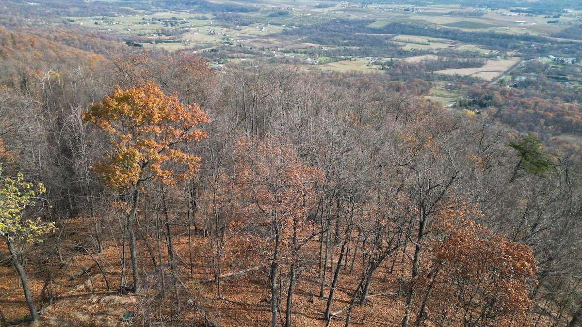 Top Of The Mountain Building Lot For Sale | Whitetail Properties