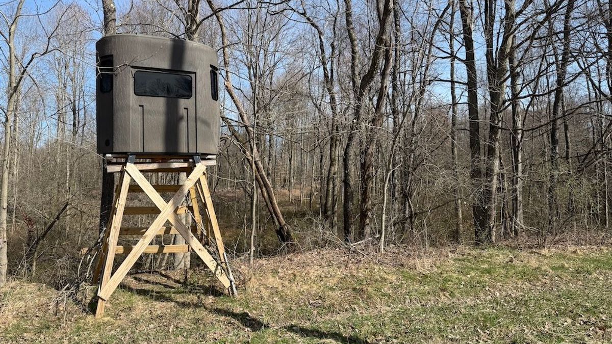 Fabulous Hunting Layout And Food Plotters' Dream | Whitetail Properties