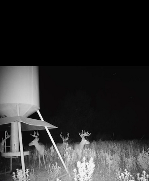 Hunt Next To The 45,000 Acre McAlester Army Ammunitions Depot ...