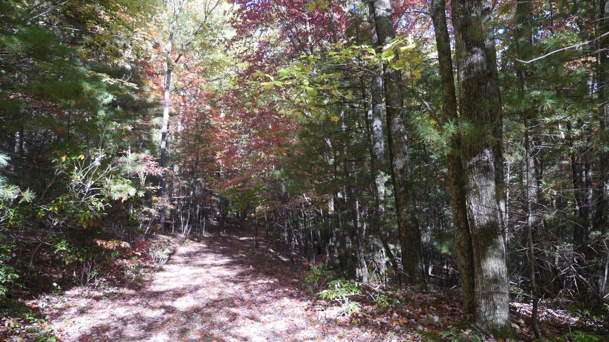 Private Mountain Property Extremely Close To National Forest ...