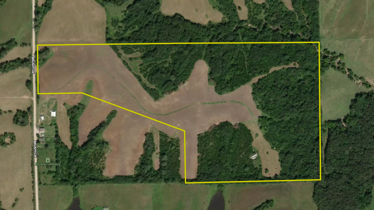 Hunting Tract With Great Timber And Big Bucks | Whitetail Properties