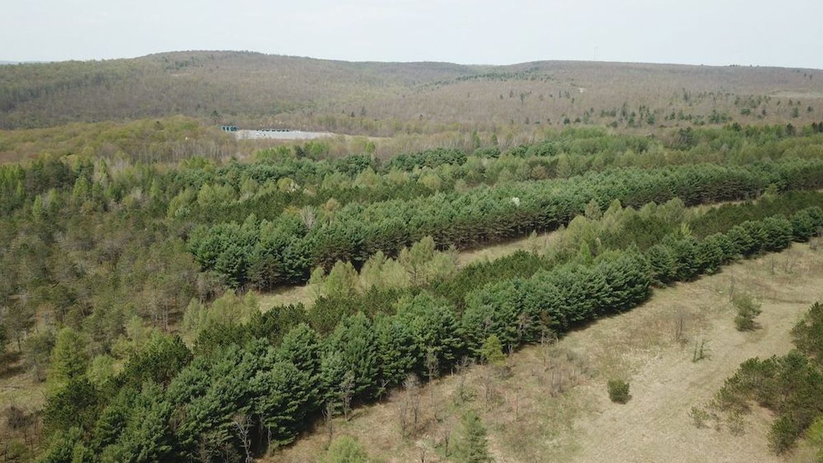 Gently Rolling Land With Public Sewer And Exceptional Access ...