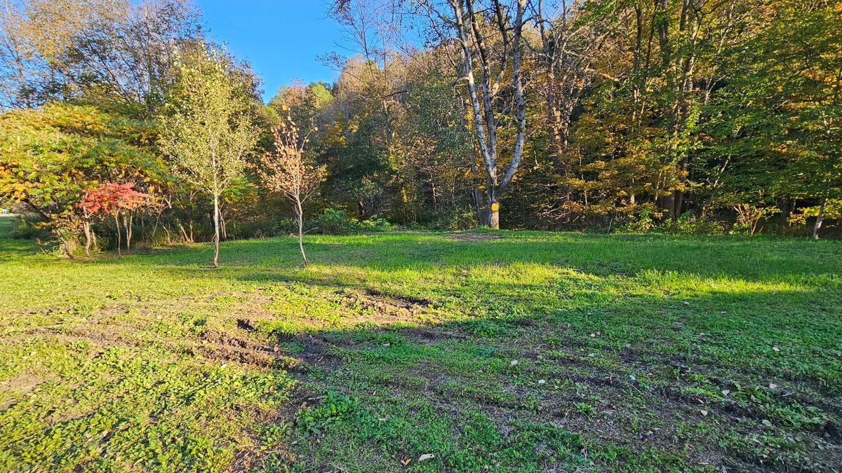 Beautiful Building With Garage, Multiple Sites For New Home | Whitetail ...