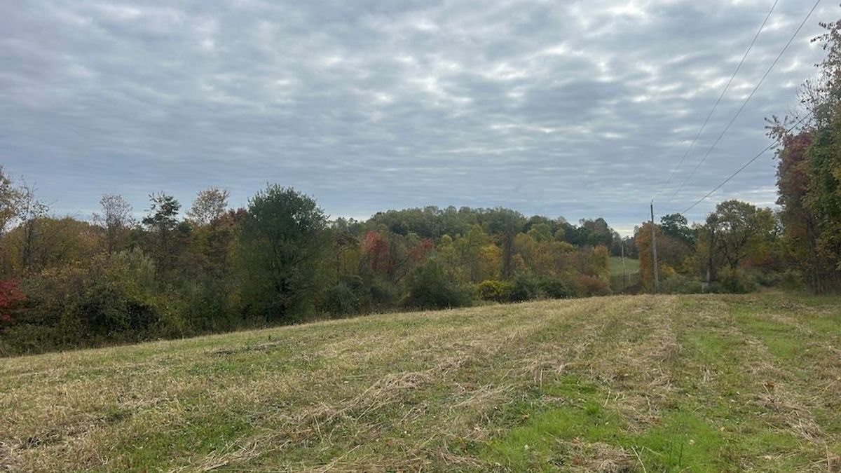 Wooded Hunting And Building Tract – Muskingum County | Whitetail Properties