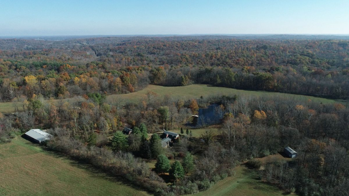 Large Country Estate With Several Outbuildings Surrounded Amongst A ...