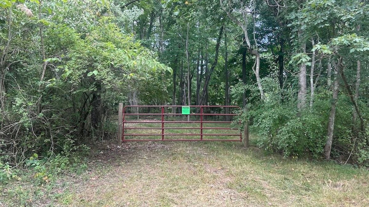 This Tract Is Located On A Dead-End Road Loaded With Large Mature Trees ...