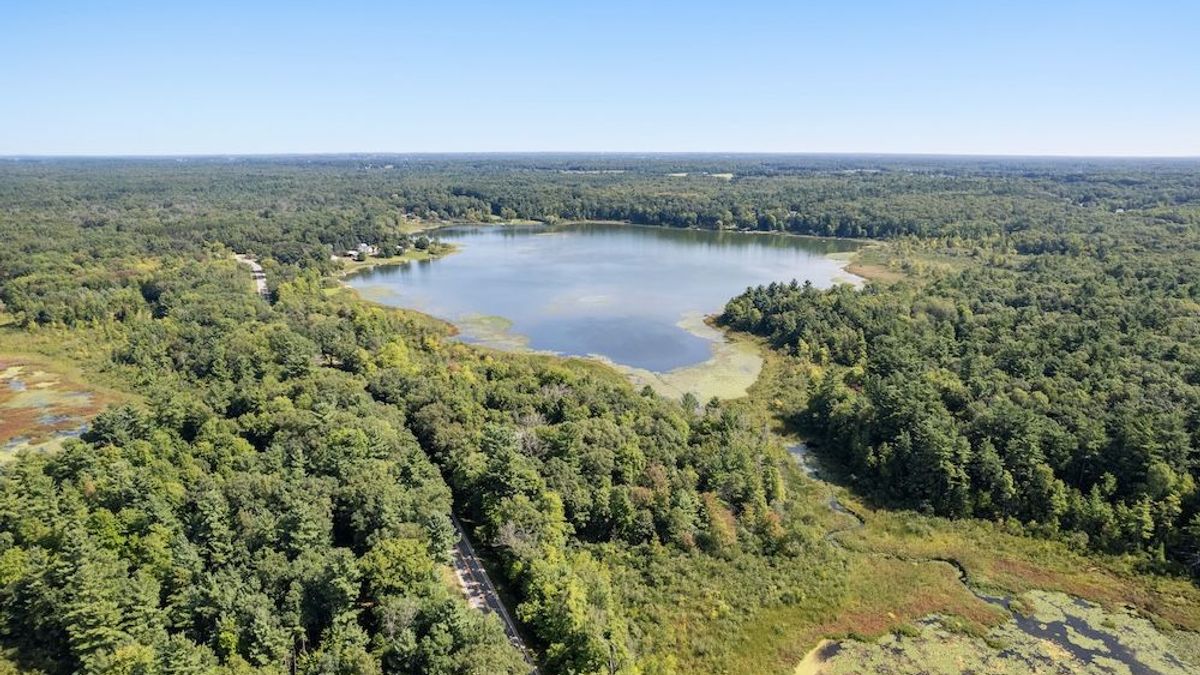 Buildable Waterfront Acreage On Duck Lake | Whitetail Properties