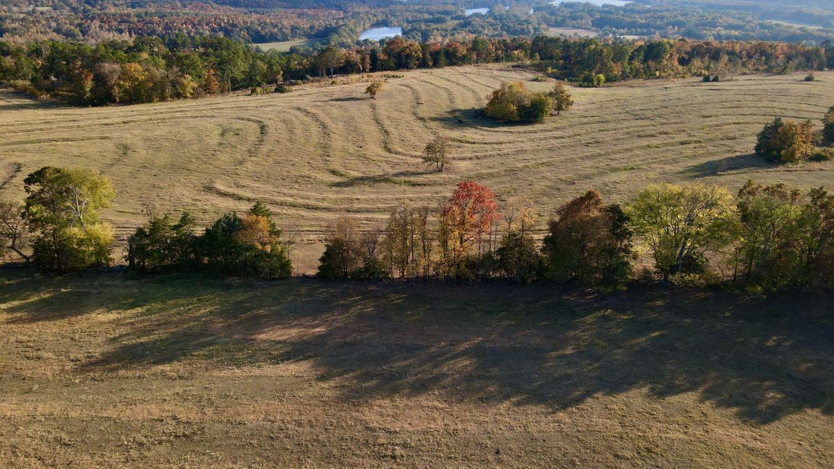 Mountain Top Pasture With View | Whitetail Properties
