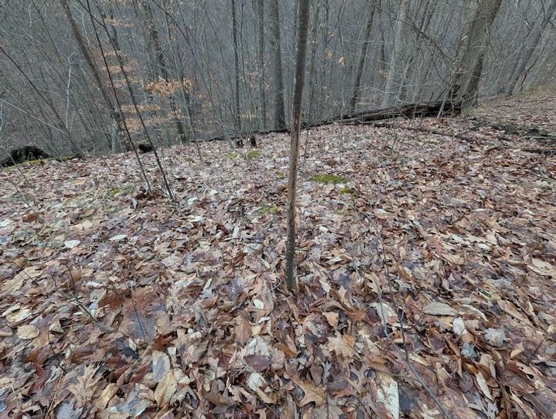 Turn-key Hunting Property With Comfortable Cabin In Southern Belmont ...