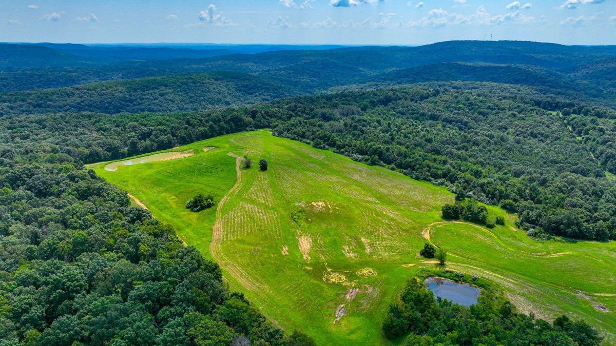 83+/- Acre Diverse Hunting Tract Adjoining Shawnee National Forest ...